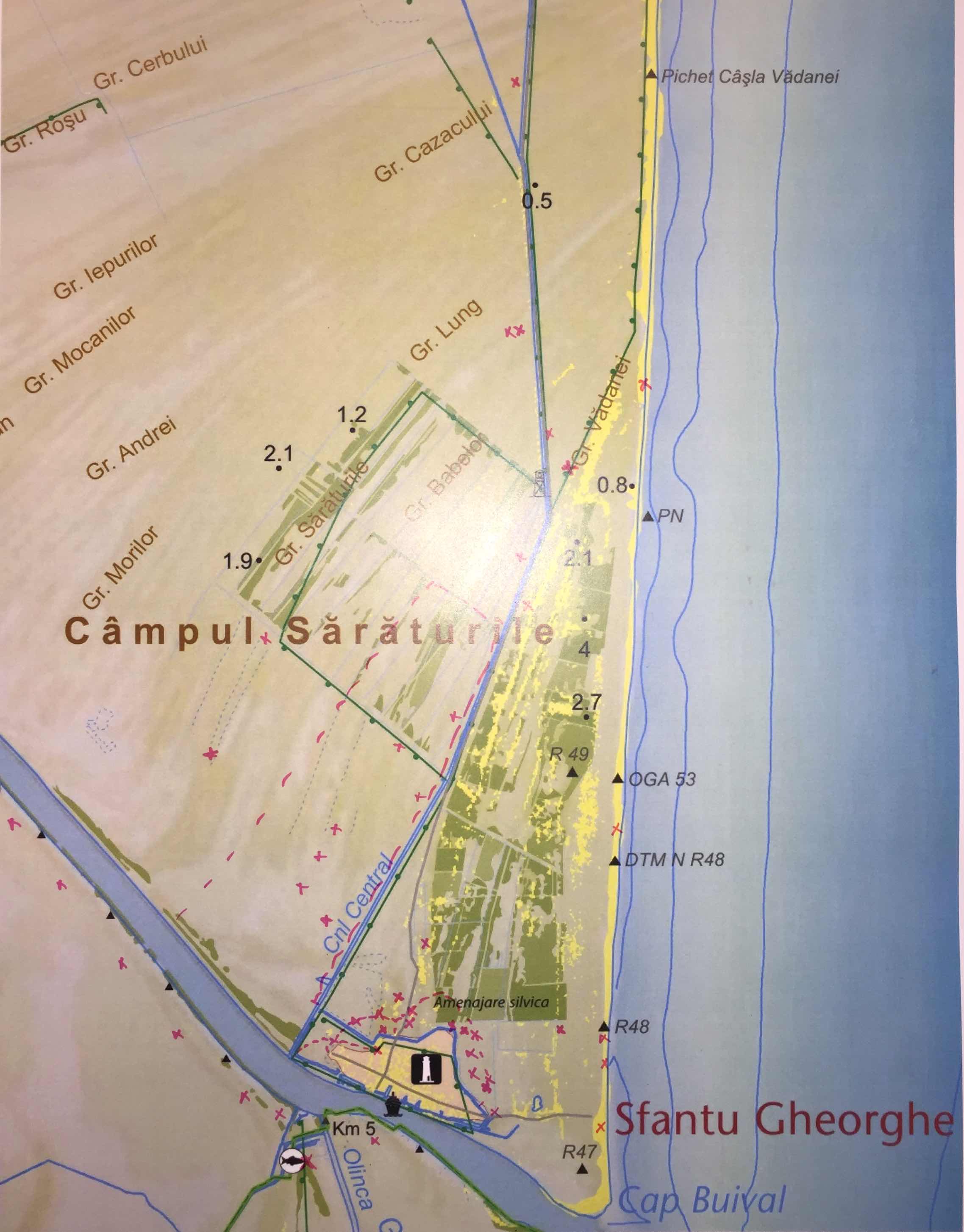 Who’s afraid of the big bad jackal? – The Civil Animal